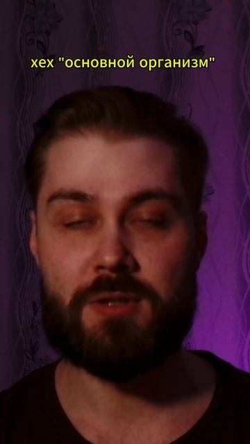 Лёгкая тренировка — не мало. Это самое оно