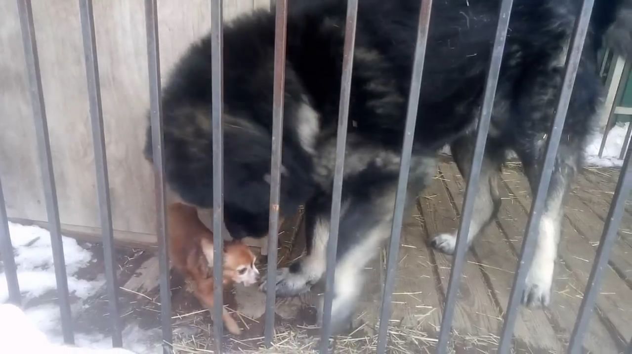 Маленькая леди пришла и ушла