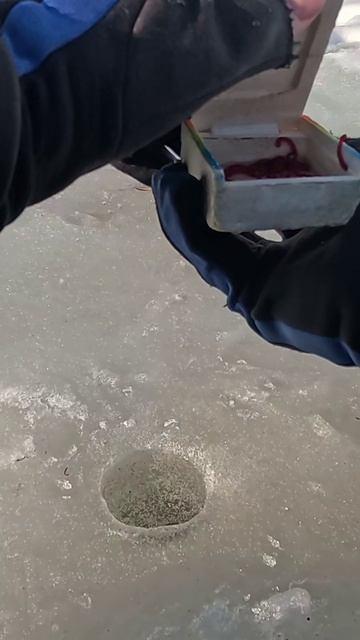 Приманки на уклейку