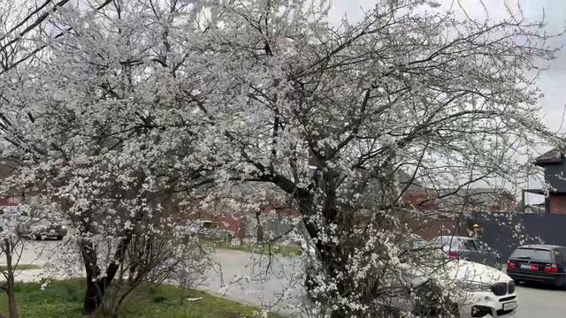 Поговорим о счастье 💯💯💯 Челендж от МысЛёхи🔥🔥🔥