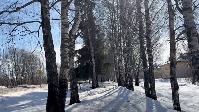 Склонение числительных, 2 часть. Количественные