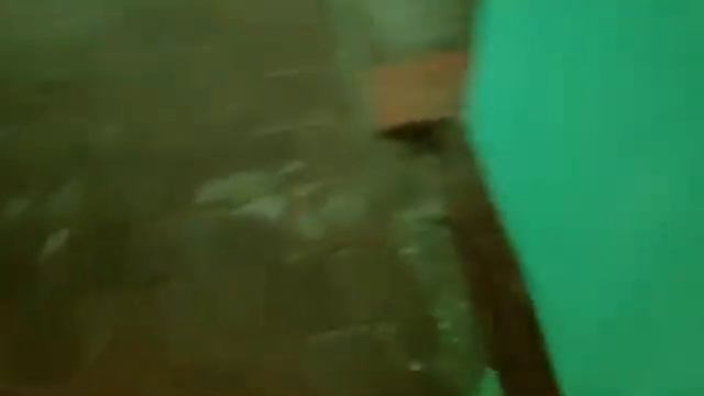 Лифт NLM 2022 года. Саранск, Энгельса 15 к 2, 2 п