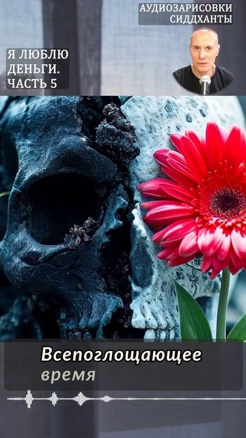 Я люблю деньги. Часть 5. Аудиозарисовки Сиддханты (Вячеслава Чернина)