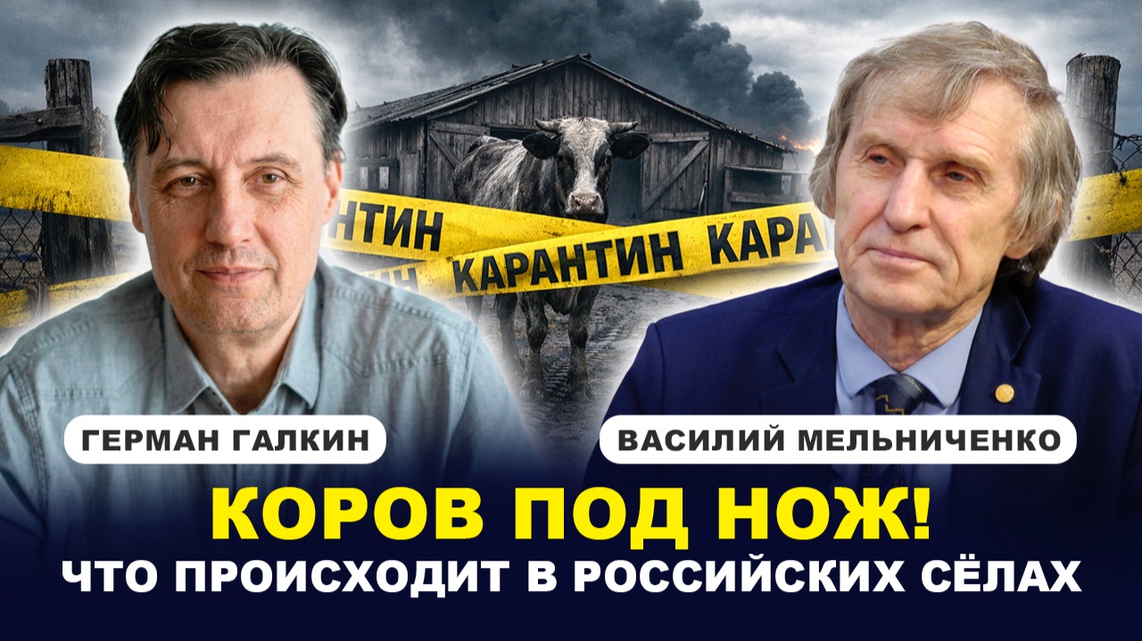 МАССОВЫЙ ЗАБОЙ СКОТА В РОССИИ/ Бунт фермеров // #МЕЛЬНИЧЕНКО, ГАЛКИН