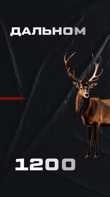 ИДЕАЛЬНЫЙ МОНОКУЛЯР ИЗ СРЕДНЕГО КЛАССА!