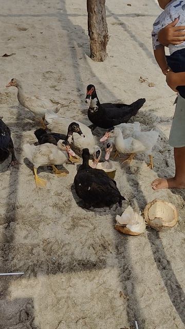 всем хватит