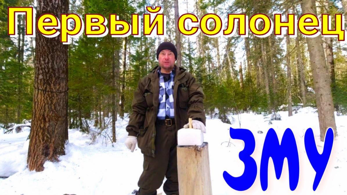 Открыл сезон биотехнических мероприятий обновил первый солонец закончил ЗМУ робкие шаги весны