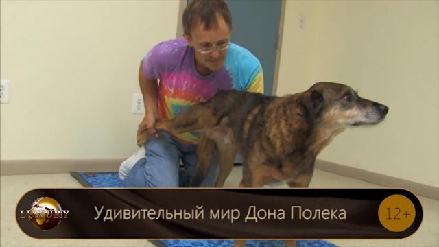 Удивительный мир Дона Полека_общий