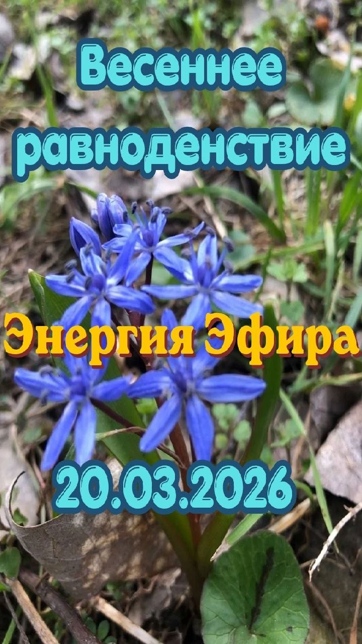 Весеннее равноденствие. Энергия Эфира 20.03.2026. #вселеннаяя #творец #весеннееравноденствие #эфир
