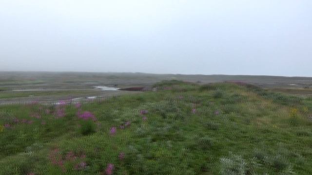 Полуостров Рыбачий Утро на турбазе Большое Озерко