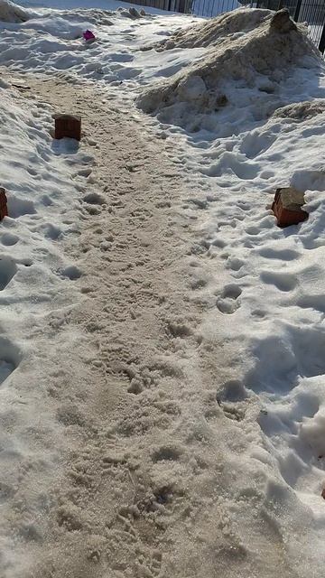 №1774 Двор Сибирская 73. 16 марта 2026 г., 11:21:50 VID_20260316_112105728