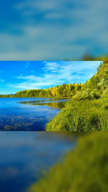 True Intro #музыка #music #shorts