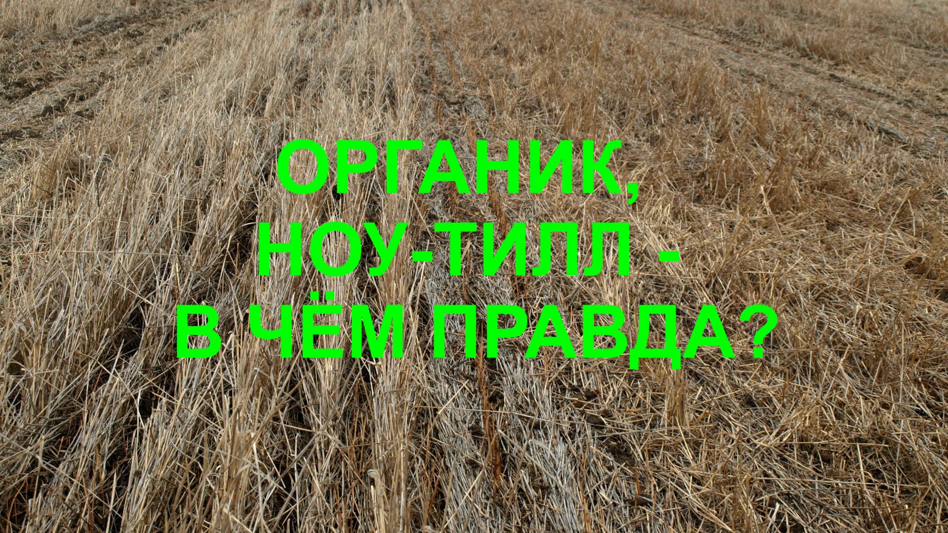 Органическое земледелие и ноу-тилл - фикция?..