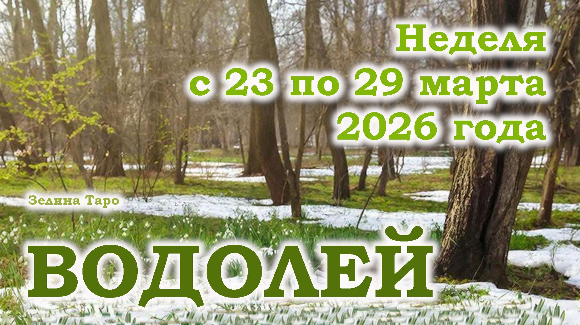 ВОДОЛЕЙ | ТАРО прогноз на неделю с 23 по 29 марта 2026 года