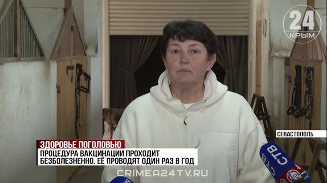 На страже здоровья: какие процедуры проводит ветеринария Севастополя с началом весны?