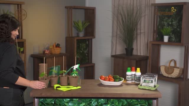 Мой Загородный 236