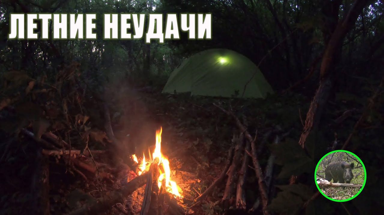 ОДИНОЧНАЯ ночевка, опять НЕУДАЧИ, проверка ФОТОЛОВУШЕК В ЛЕСУ