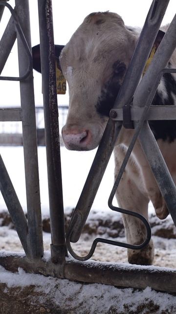 Весна на ферме: готовитесь к новому сезону? 🌱