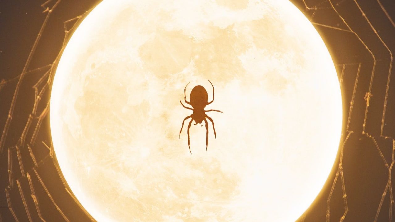 Littleorangeua - The Prodigy More Than1