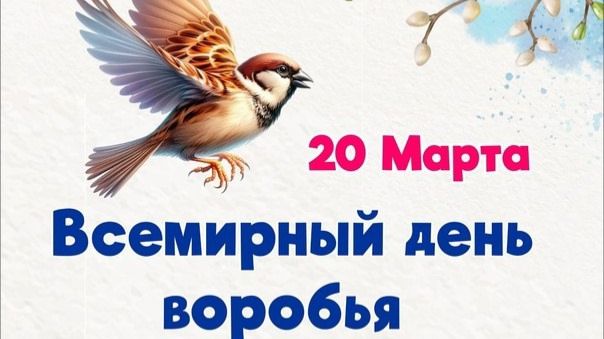 День воробья
