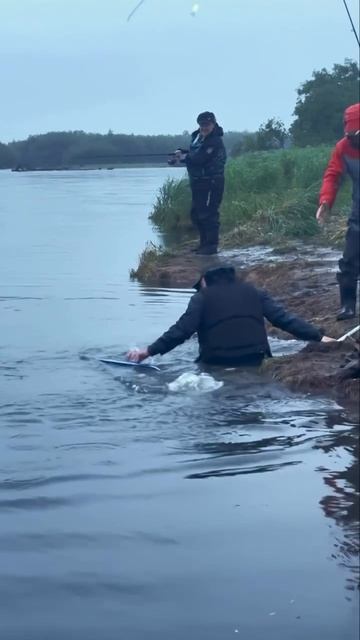 Сколько же хлопот принесла эта рыбка