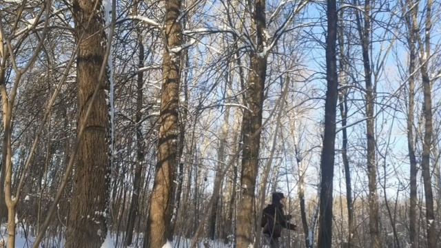 похищенный для леса ЧАСТЬ 27