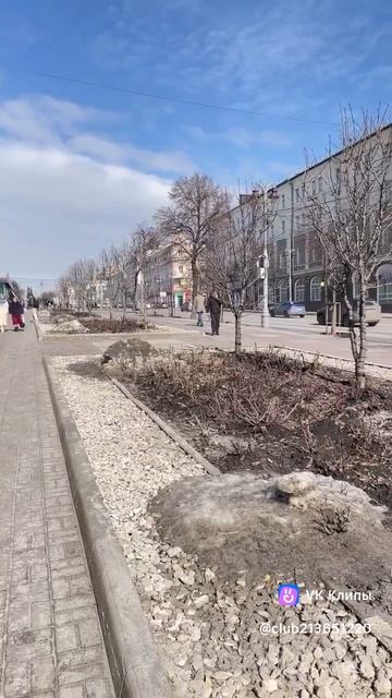 Весенний Курск