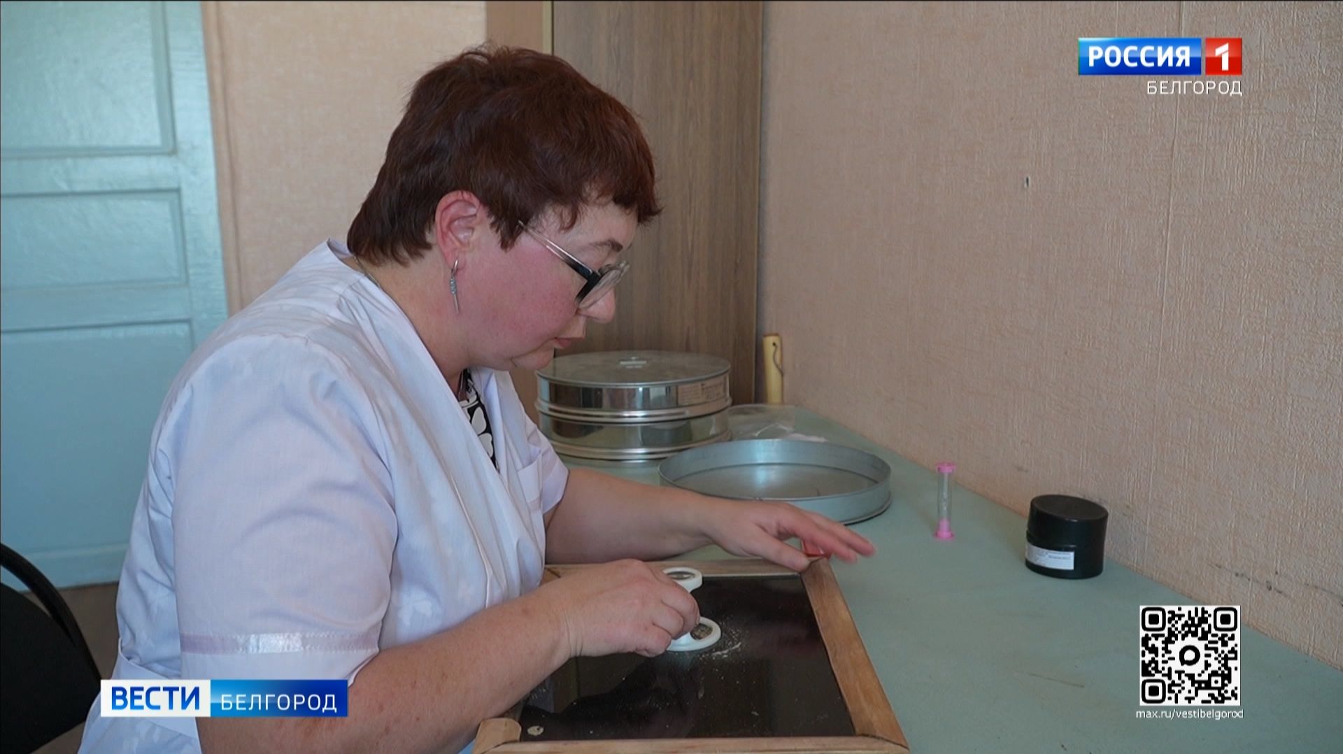 Почти 7 тысяч тонн семян проверили белгородские аграрии с начала года