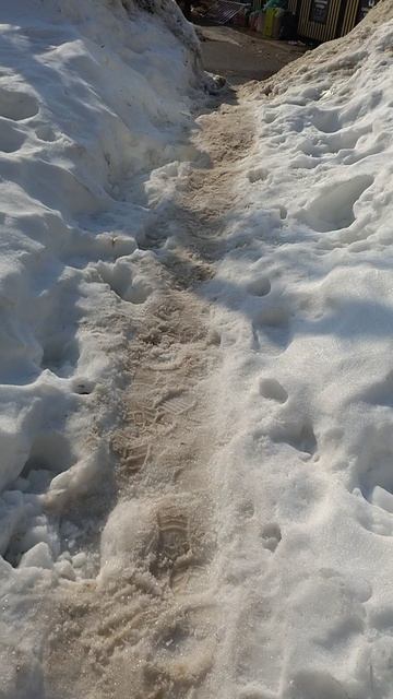 №1775 Двор Сибирская 73. 16 марта 2026 г., 11:23:05 VID_20260316_112220257