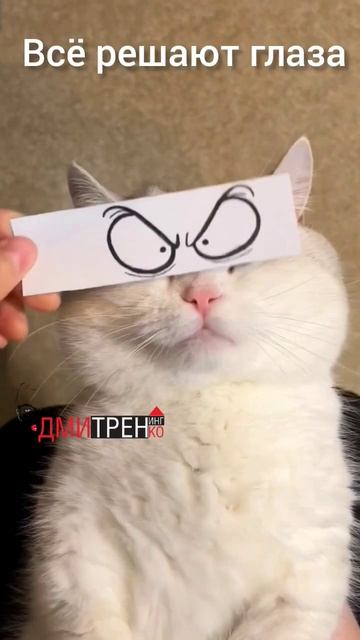 Дело во взгляде