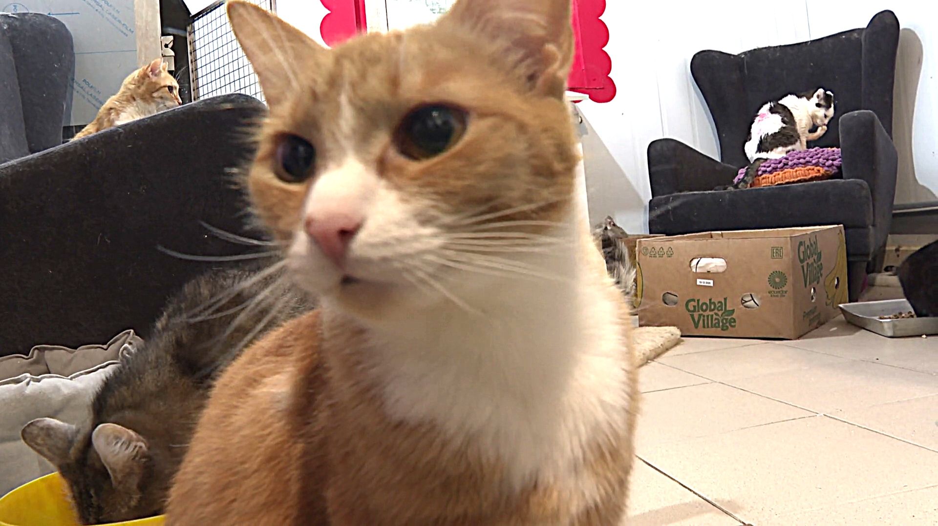 Большая область | 21.03.2026