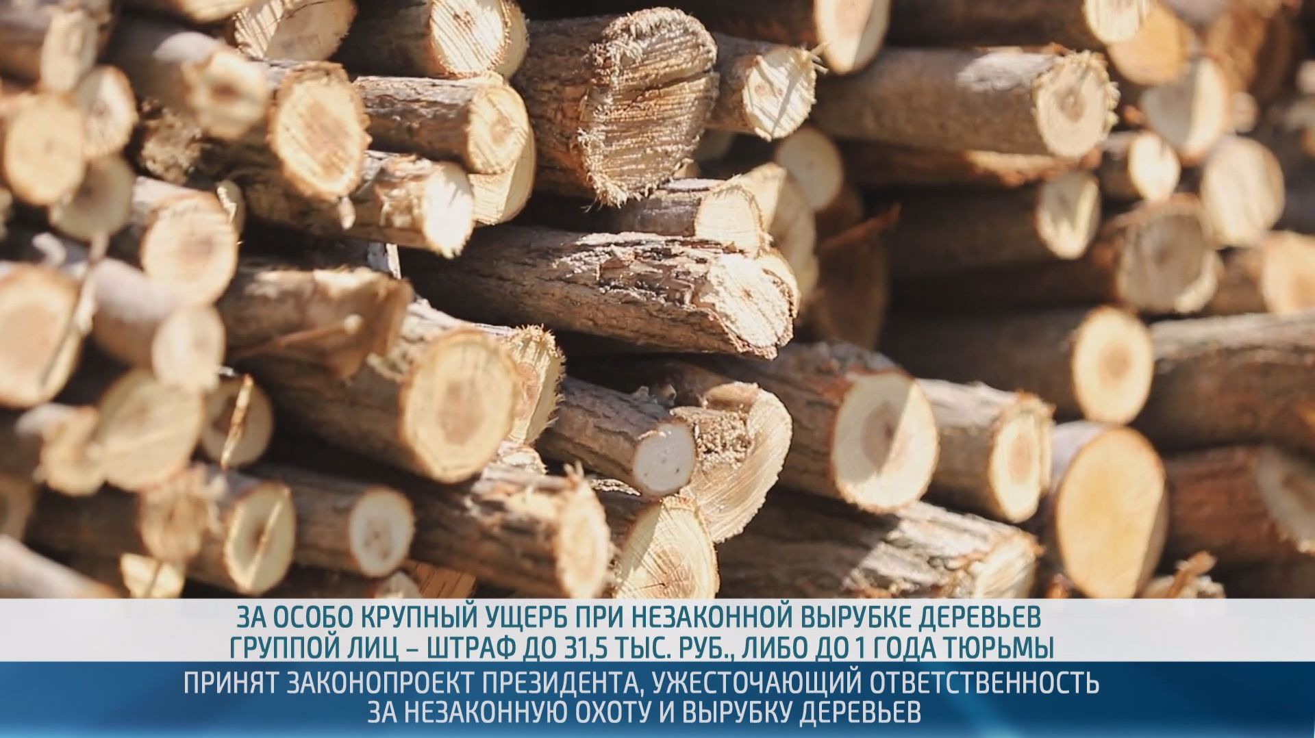 Приняты меры для защиты природных ресурсов – 19.03.2026