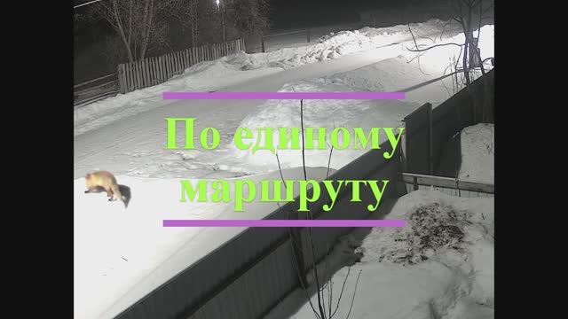 По единому маршруту
