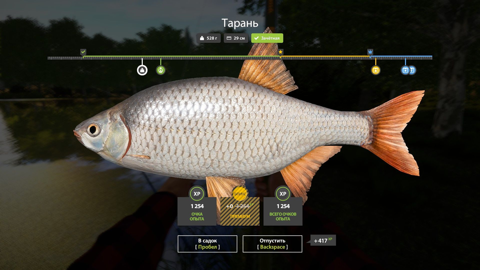 Играем в Russian Fishing 4 ловим плотву,краснопёрку,тарань и другую рыбку на р.Донец.