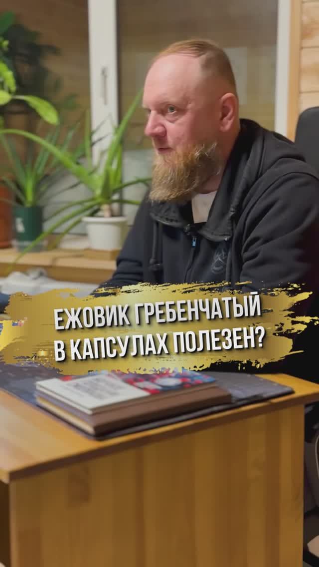 Ежовик гребенчатый