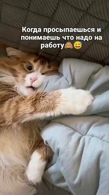 Сегодня не на работу?