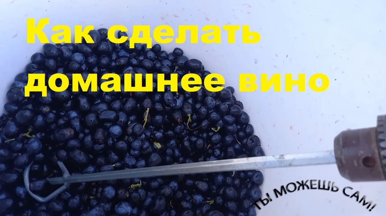 Как сделать домашнее вино из винограда Этап1