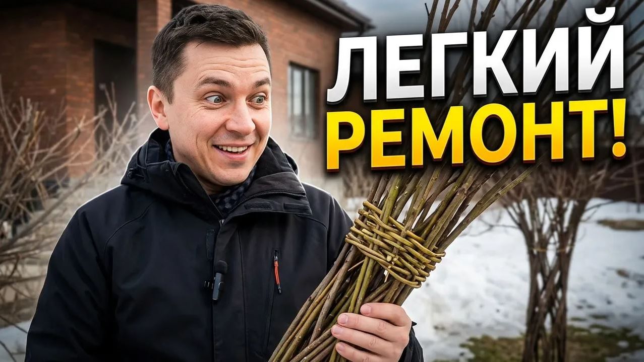 Ремонт плетёного дерева после зимы