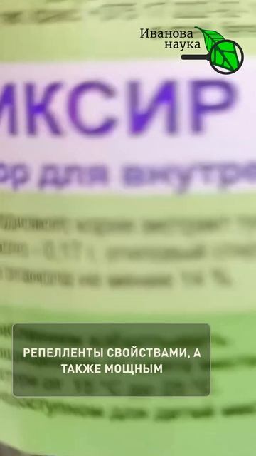 Хилая ➡️ Толстая: рассада не вытягивается и жиреет: мой секрет из аптеки за копейки.