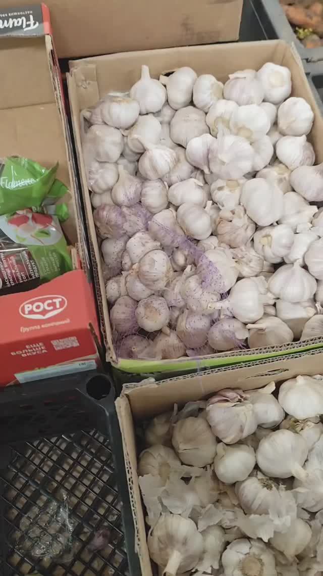 ЭТО КОНЕЦ! ТАРАКАНЫ 😱 В МАГАЗИНЕ ПОБЕДА. Воротынск Калужская область.