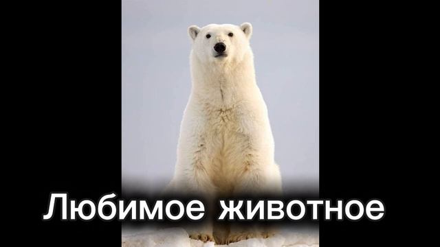 Все картинки взяты из интернета