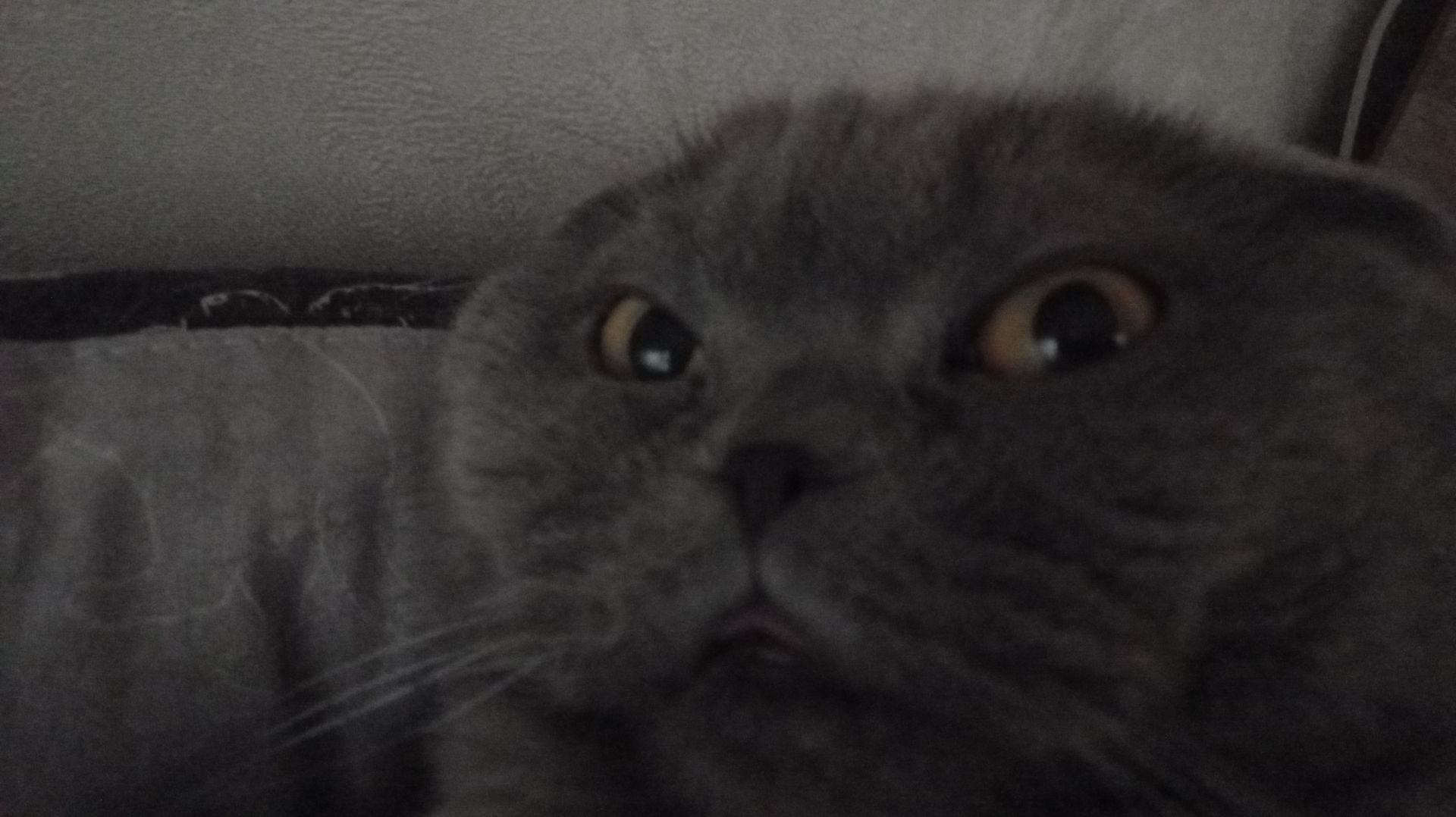 С прошедшим ❤️