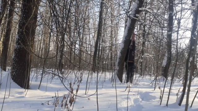 похищенный для леса ЧАСТЬ 35