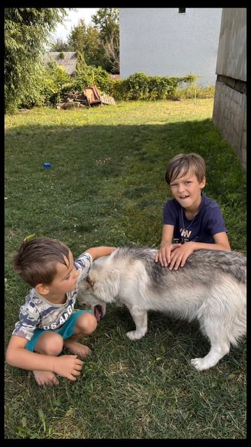 Эпичные фотки и крутые фотки моих животных