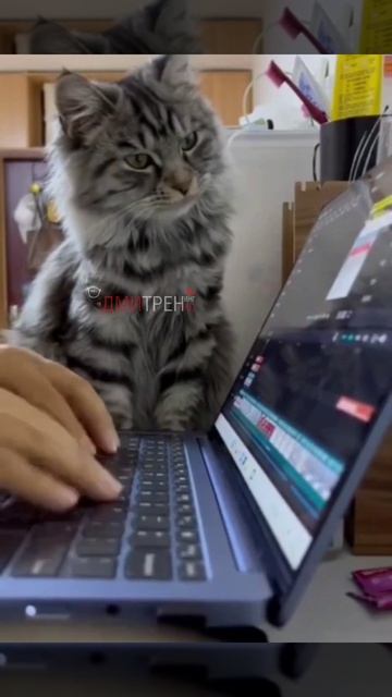 Строгий начальник, который ничего не понимает в работе персонала