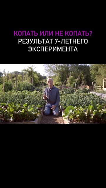 Копать или не копать? Результат 7-летнего эксперимента