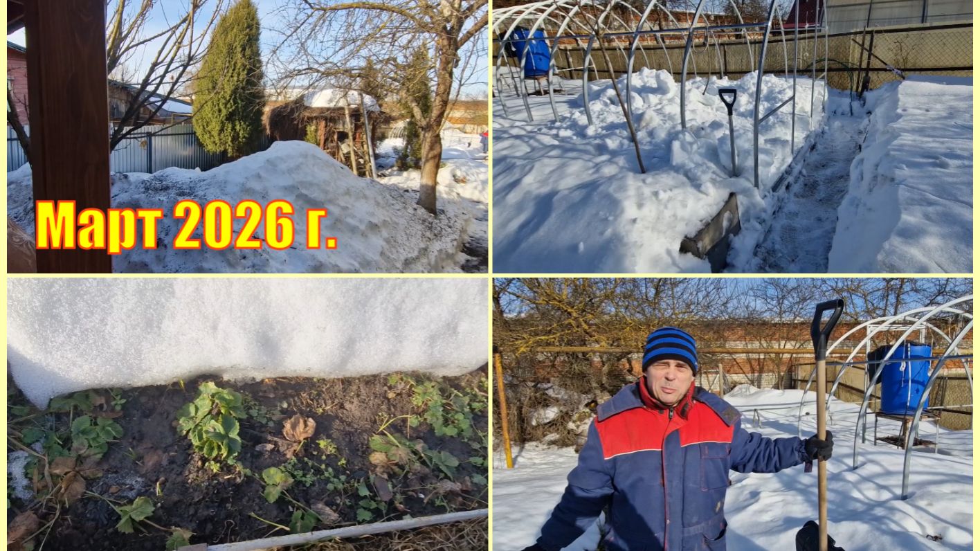 Огород. Грядки оттаивают. Обкопали теплицу от снега.