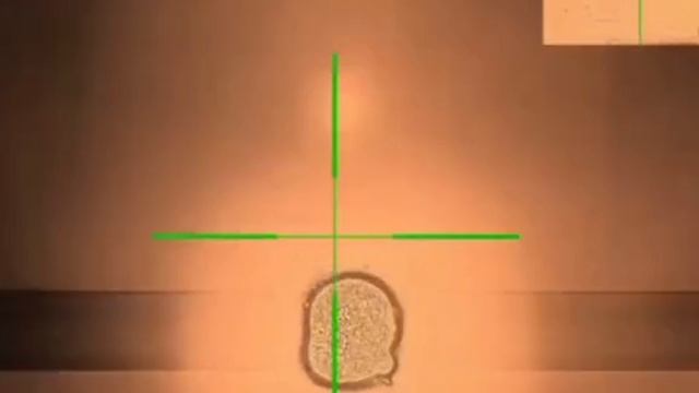 Зенитка ЗУ-23. Краснолиманское направление.