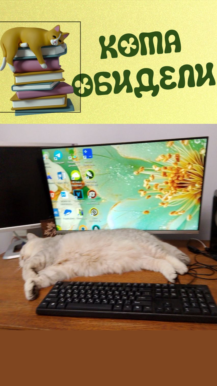 Кота обидели