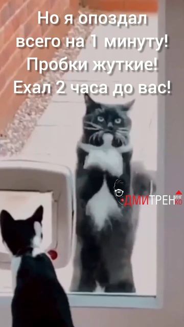 Два часа ехали? Приходите завтра!